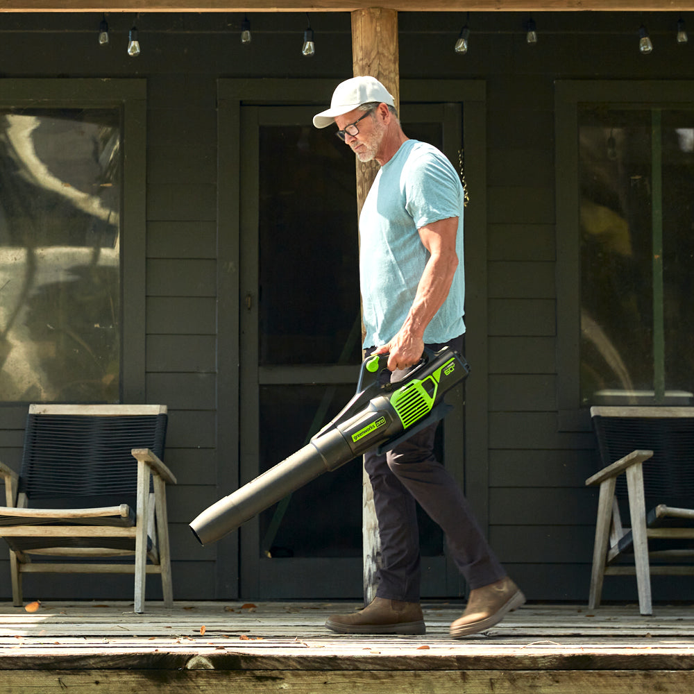 Greenworks pro 60v leaf blower store