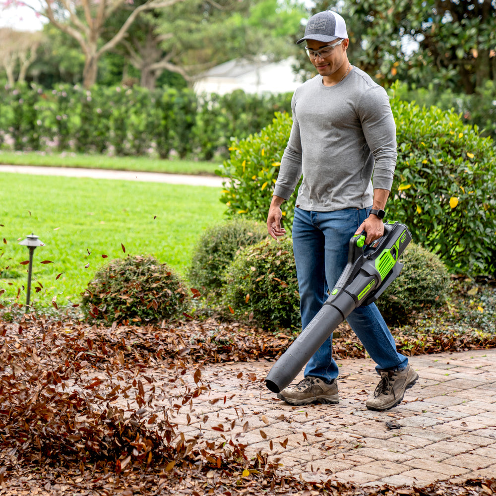 Leaf blower store