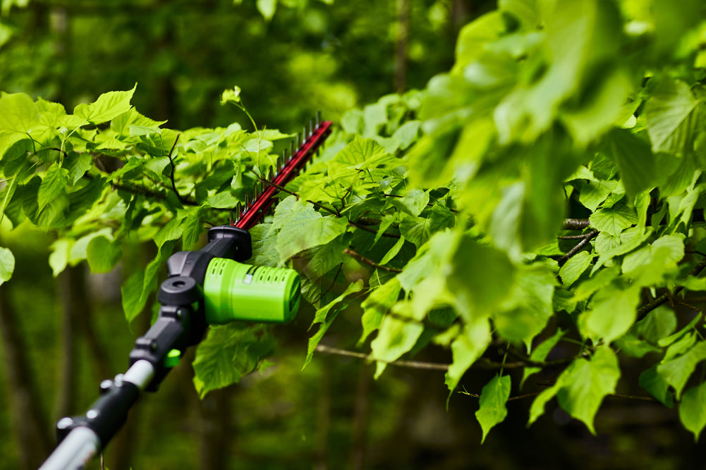 80V Telescopic Hedge Trimmer 51cm